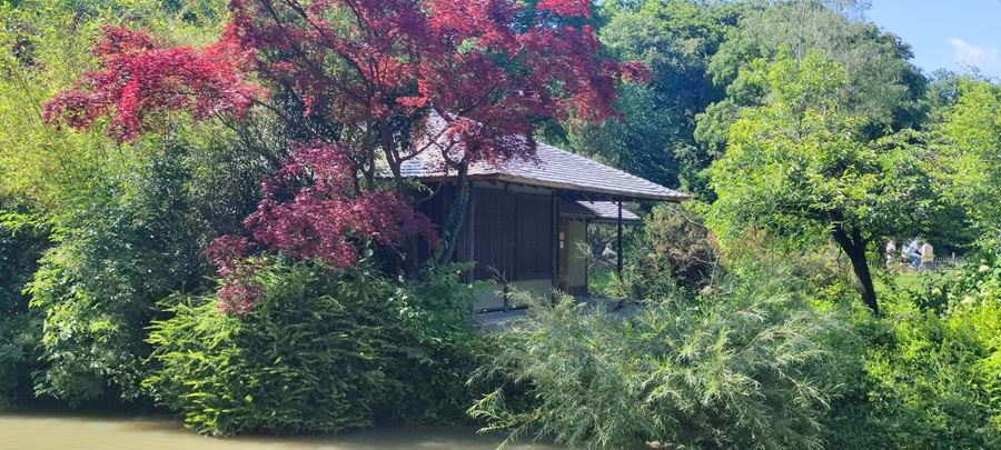 Das Japanische Teehaus Kanshoan - Traditionelle Teezeremonien